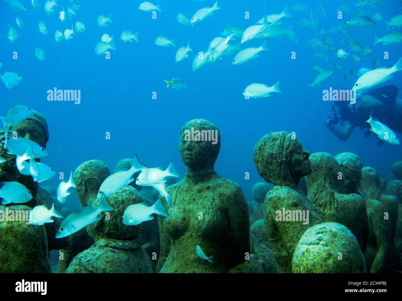 Underwater sculpture installation silent evolution hi-res stock ...