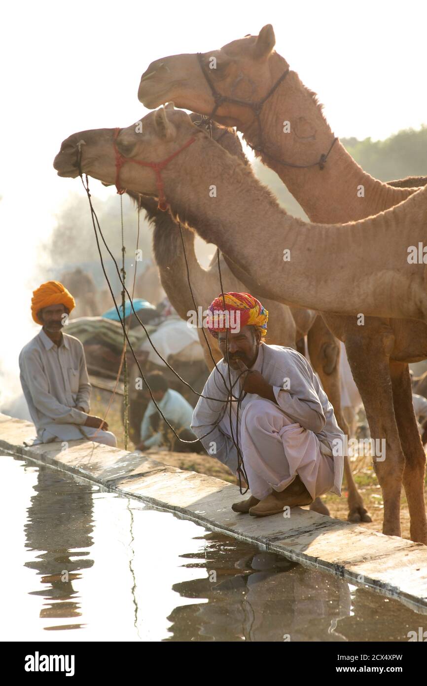 India131168 hi-res stock photography and images - Alamy