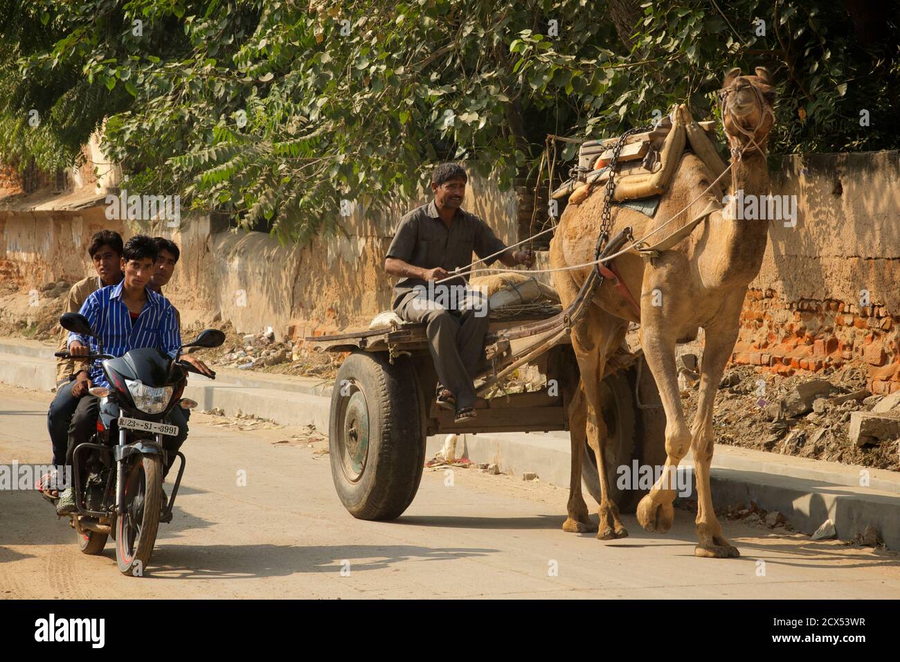 Camel drawn cart and motorcycle. Shekawati region, Rajasthan, India ...