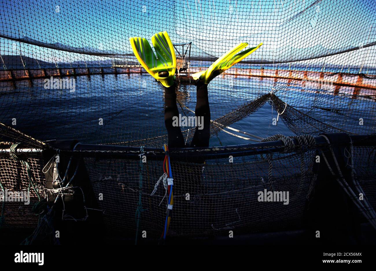 Salmon farming huon aquaculture hi-res stock photography and images - Alamy