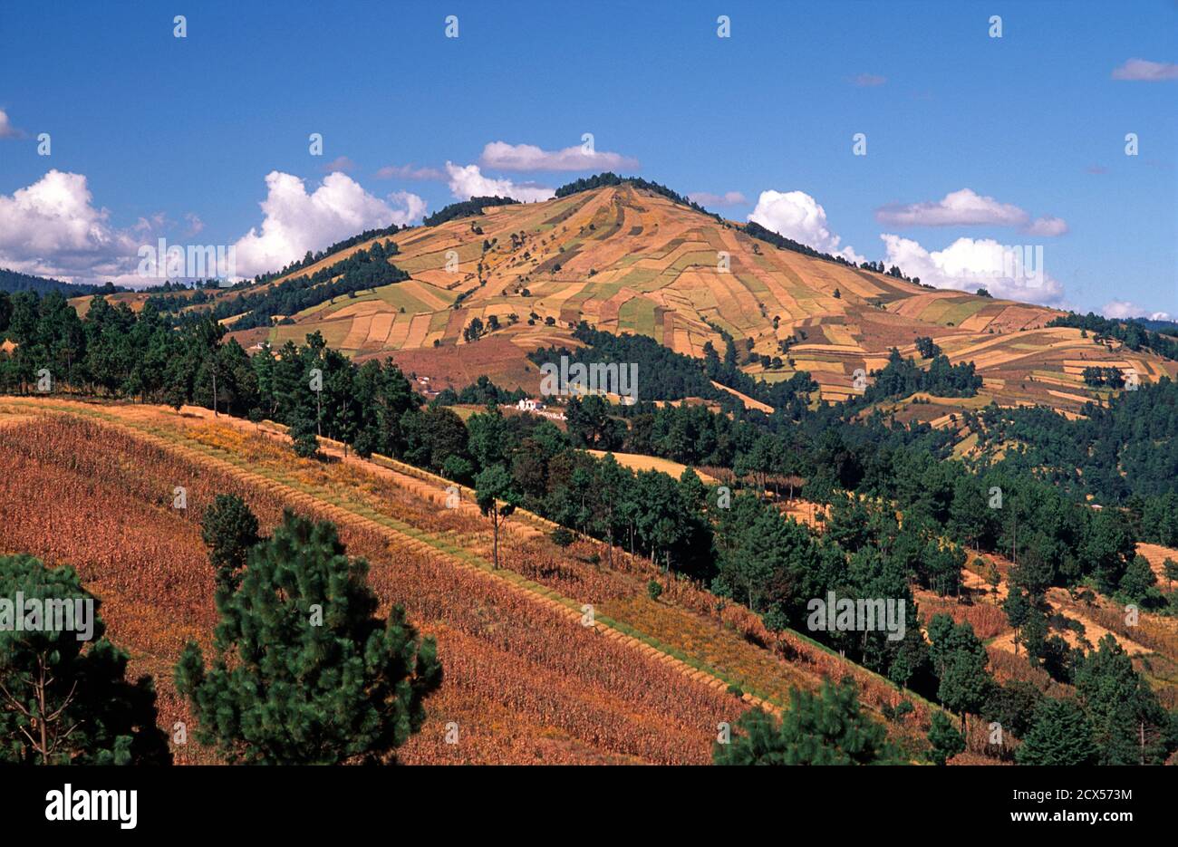 View of a hillside of patchwork maize fields in the Quetzaltenango ...