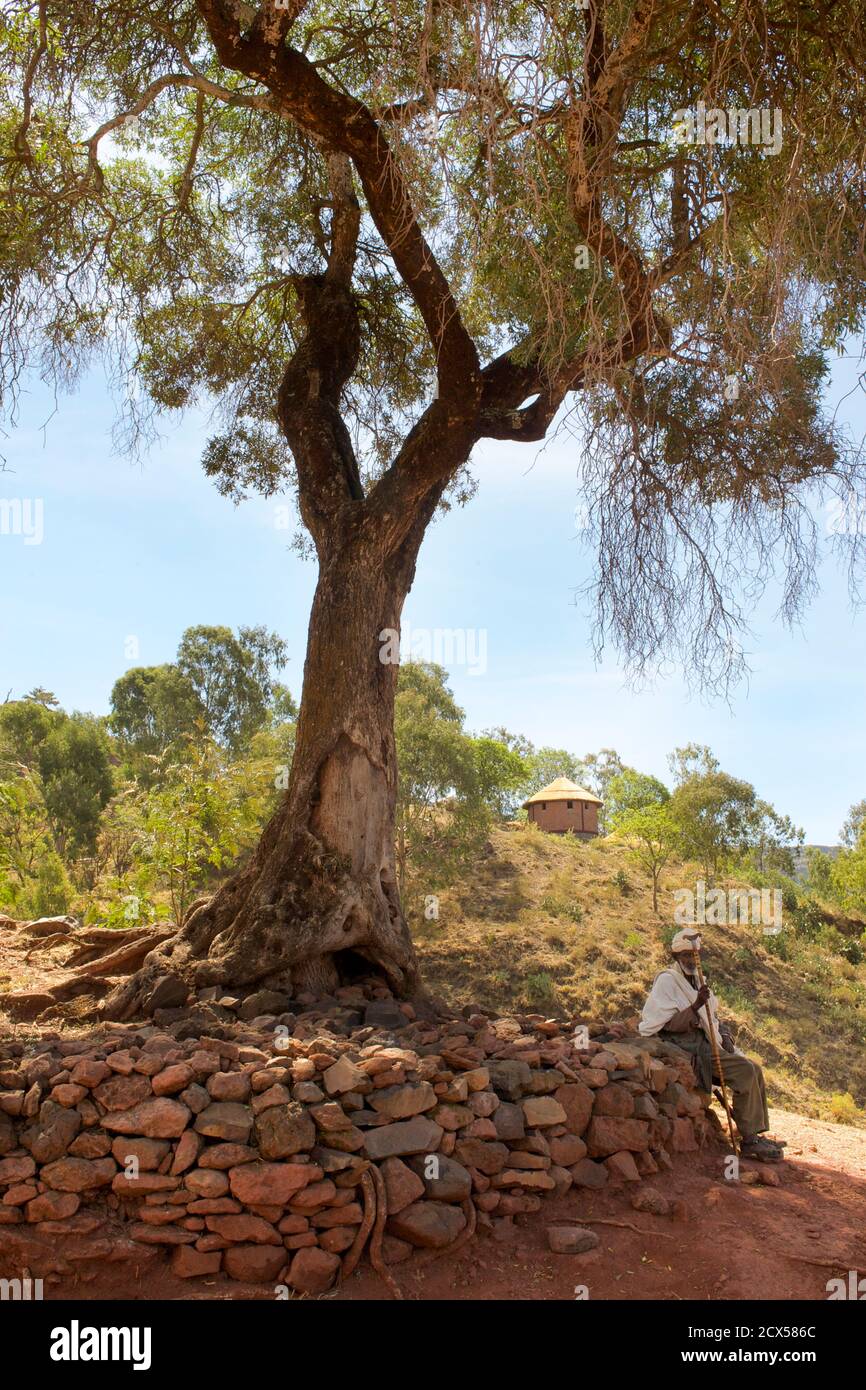 Ethiopoian elder under a tree at the compound of Bete Giyorgis church ...