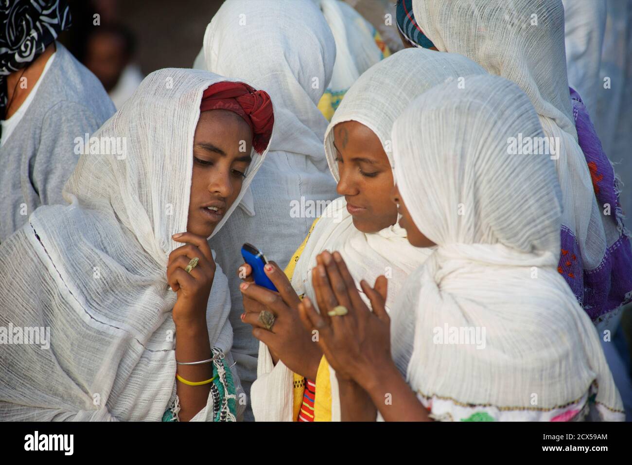 Netsela hi-res stock photography and images - Alamy