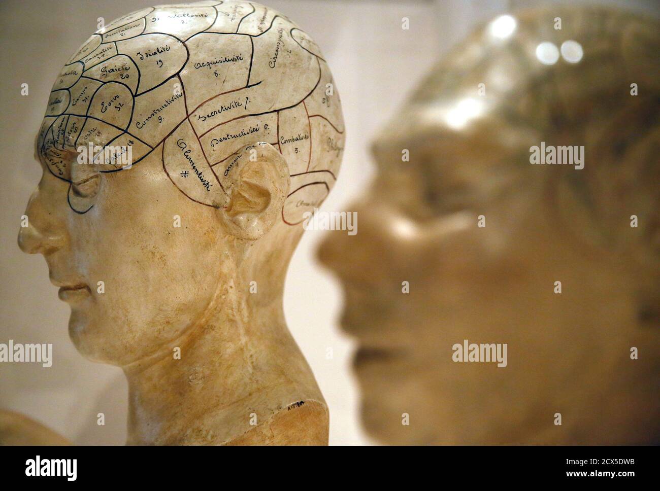 A showing specimens hi-res stock photography and images - Alamy