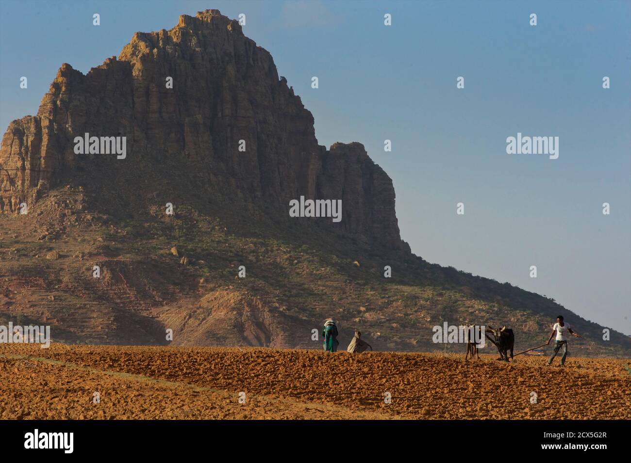 Ethiopia tigray agriculture hi-res stock photography and images - Alamy