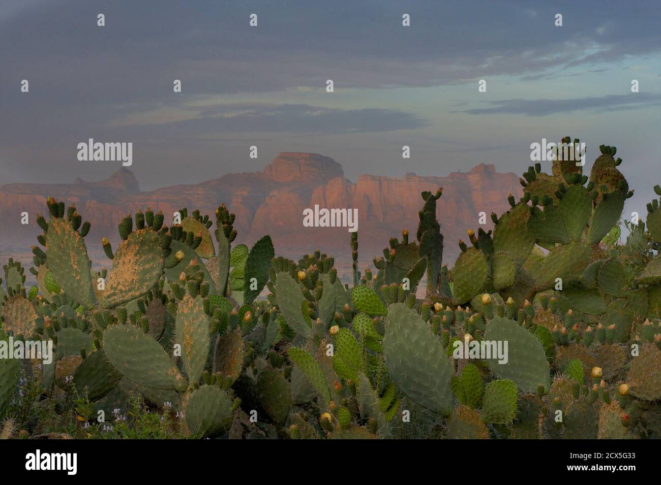 Gheralta mountains seen from the Gheralta lodge, near Hawzen, Tigray ...