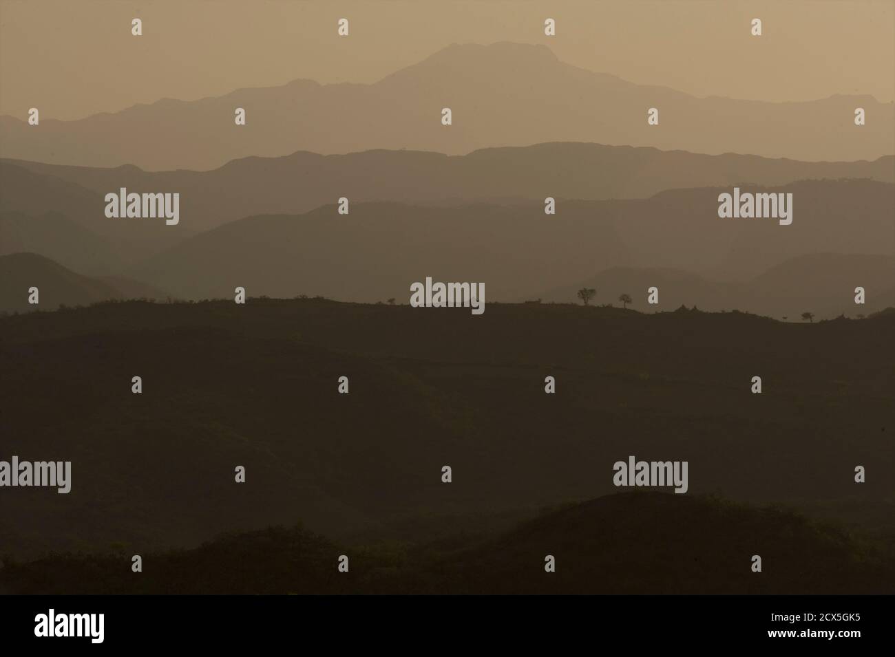 Weldiya hi-res stock photography and images - Alamy