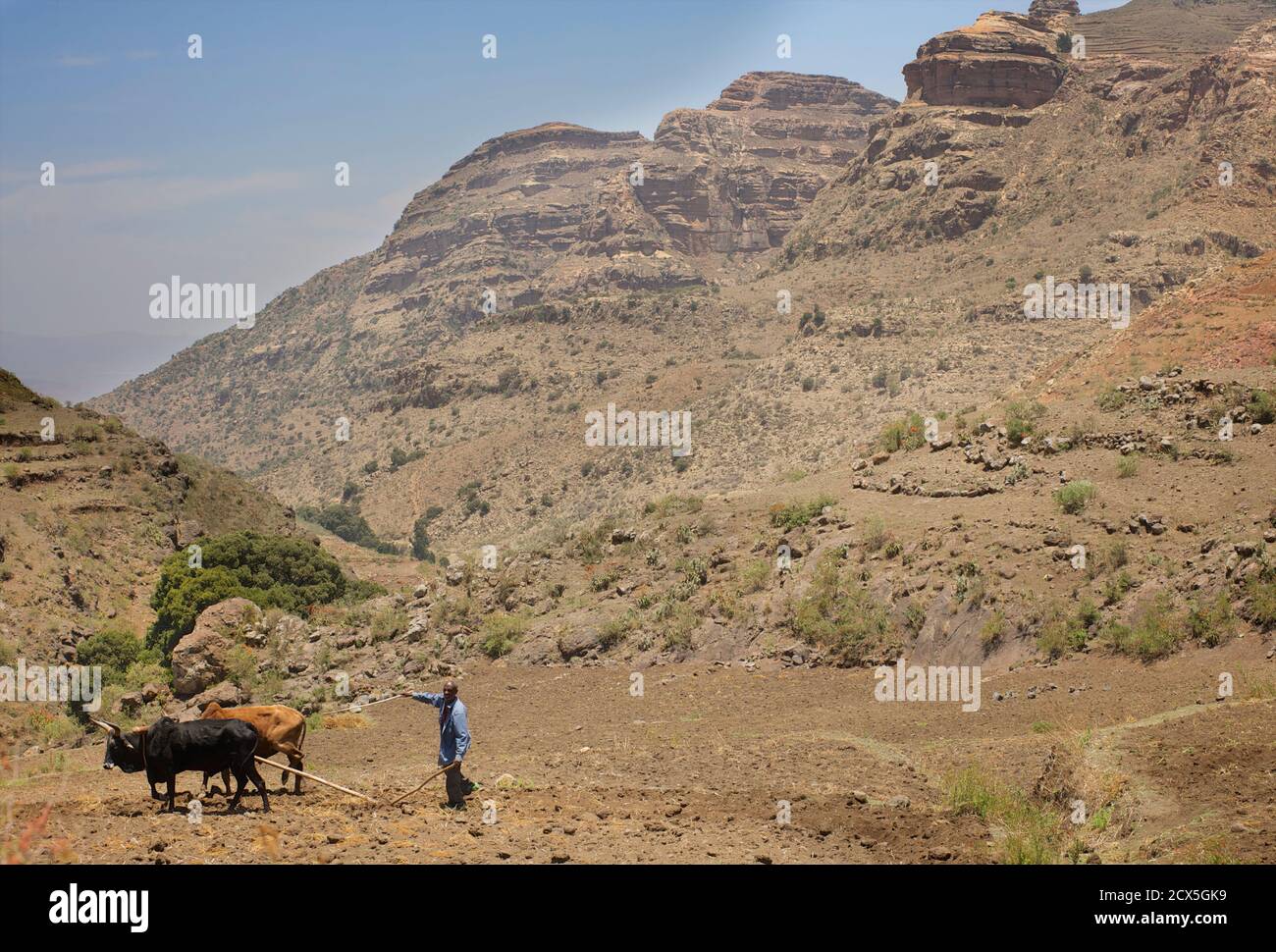 Agricultural fields in northern Tigray near Weldiya, Ethiopia Stock ...
