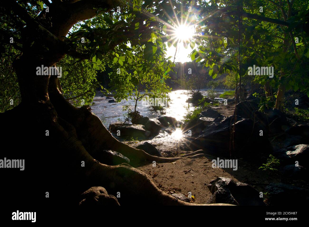 Awash River, Rift Valley. Awash NAtional PArk, Ethiopia Stock Photo - Alamy