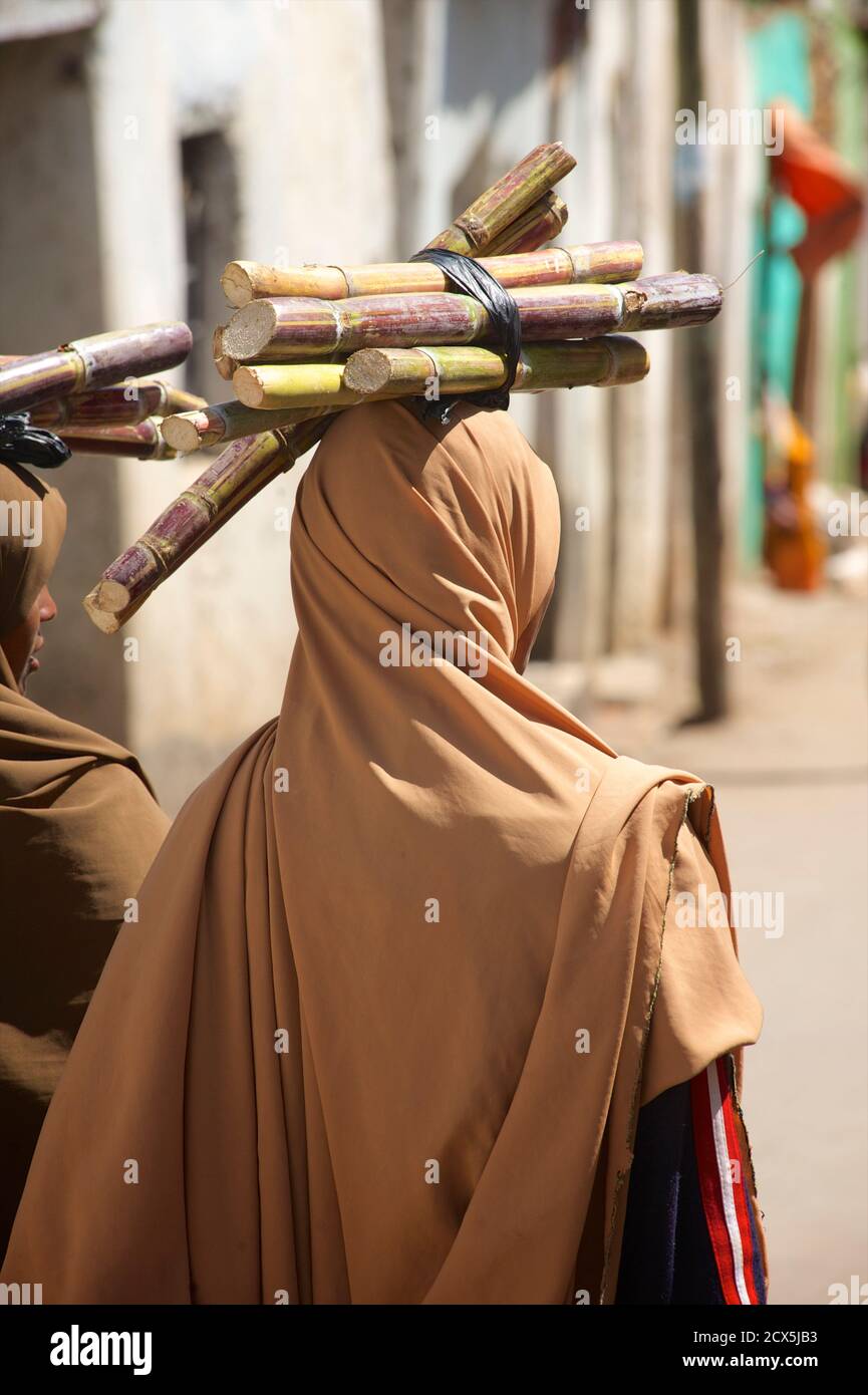 Harari woman carrying sugarcane on their heads. Harar, Ethiopia. This ...