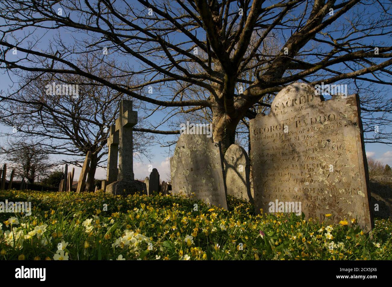 Tombstones in the Graveyard, Modbury, Devon, England Stock Photo - Alamy