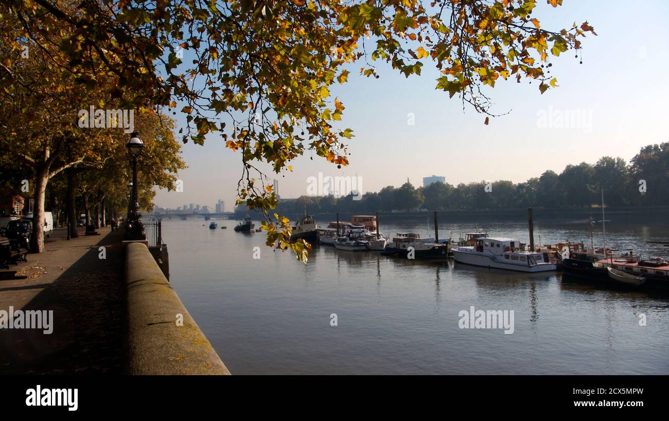 Warm autumn morning view downriver from Chelsea Embankment looking ...