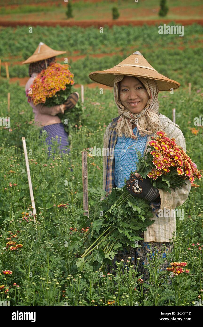 Burmese girl with flowers hi-res stock photography and images - Alamy