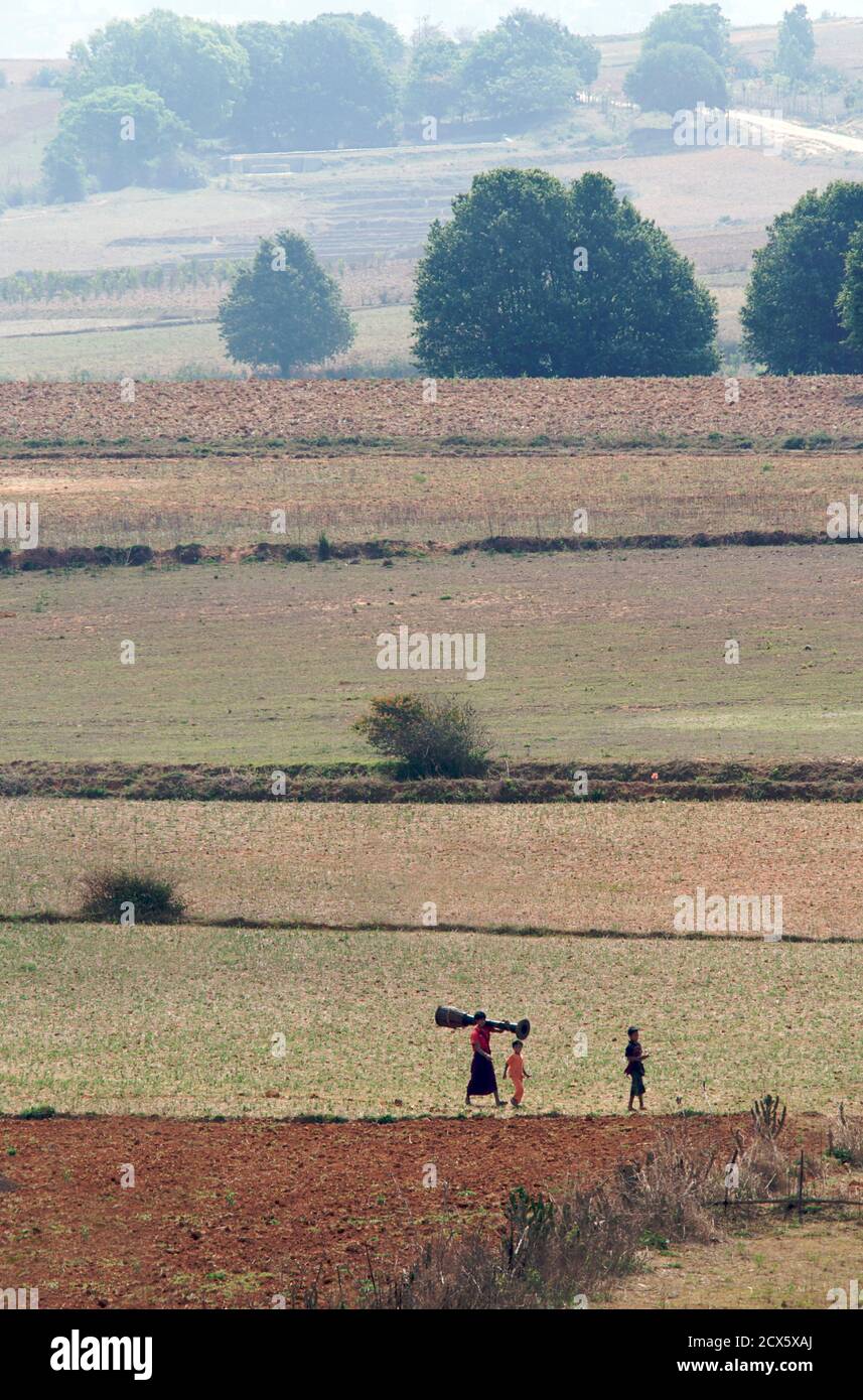 Burmese man carrying a large drum led by 2 children. Fields en route ...