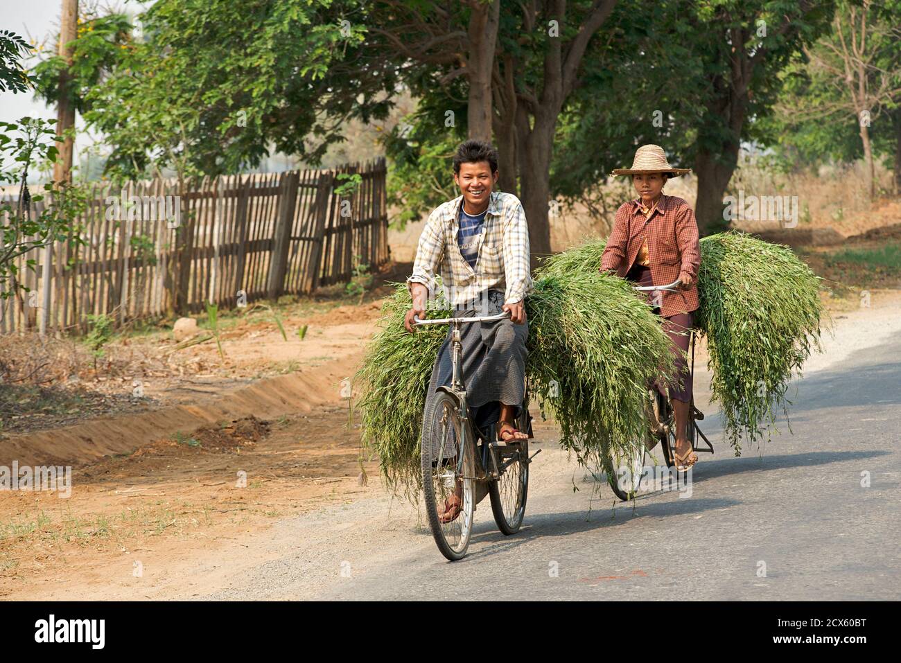 Transporting crops on a bicycle. Village life, Monywa, Burma. Myanmar ...