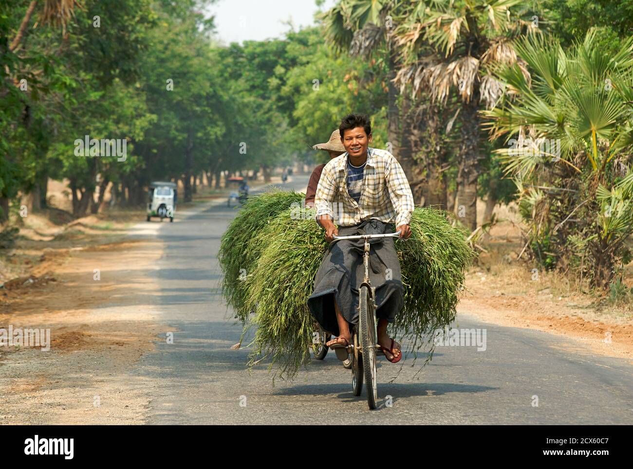 Transporting crops on a bicycle. Village life, Monywa, Burma. Myanmar ...