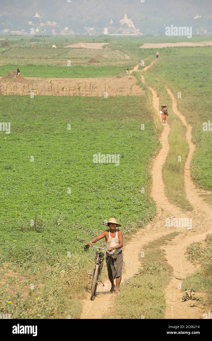 Burmese Man with bicylce in field. Mandalay - en route to Sagaing ...