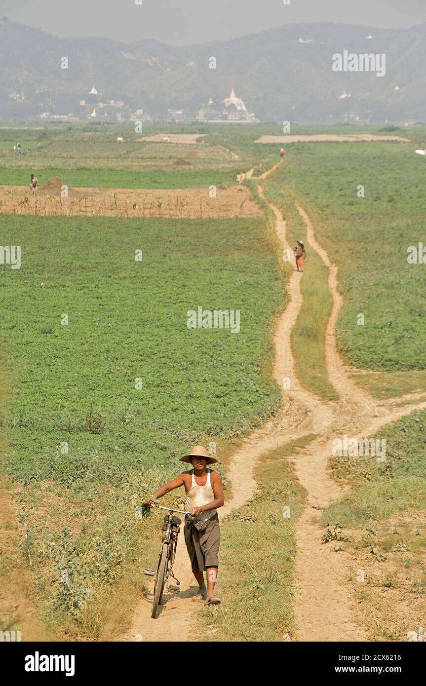 Burmese Man with bicylce in field. Mandalay - en route to Sagaing ...