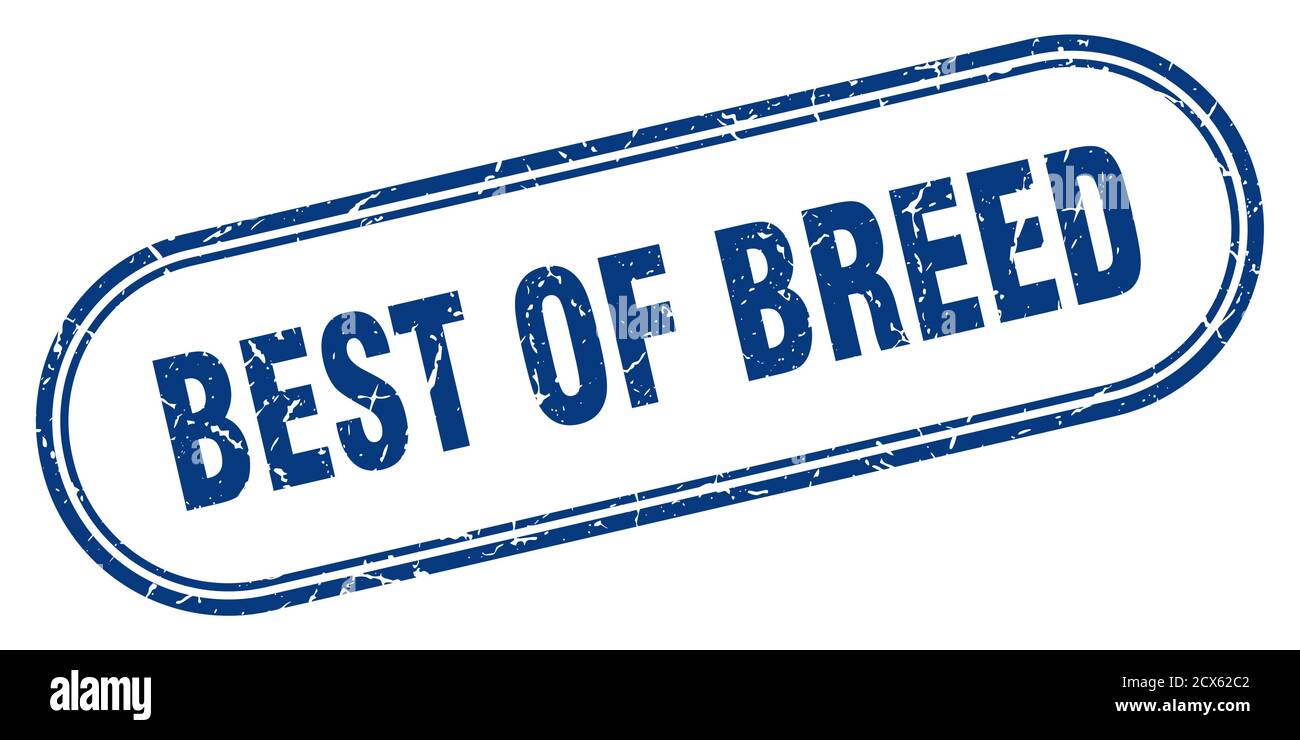 best of breed stamp. rounded grunge sign on white background Stock ...