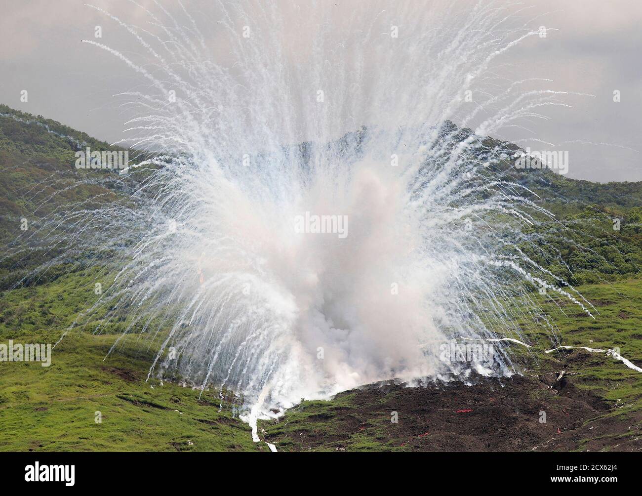 Phosphorous shell hi-res stock photography and images - Alamy