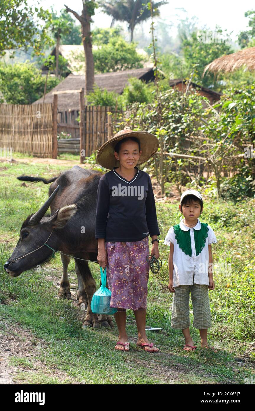 Southeast asian buffalo hi-res stock photography and images - Alamy