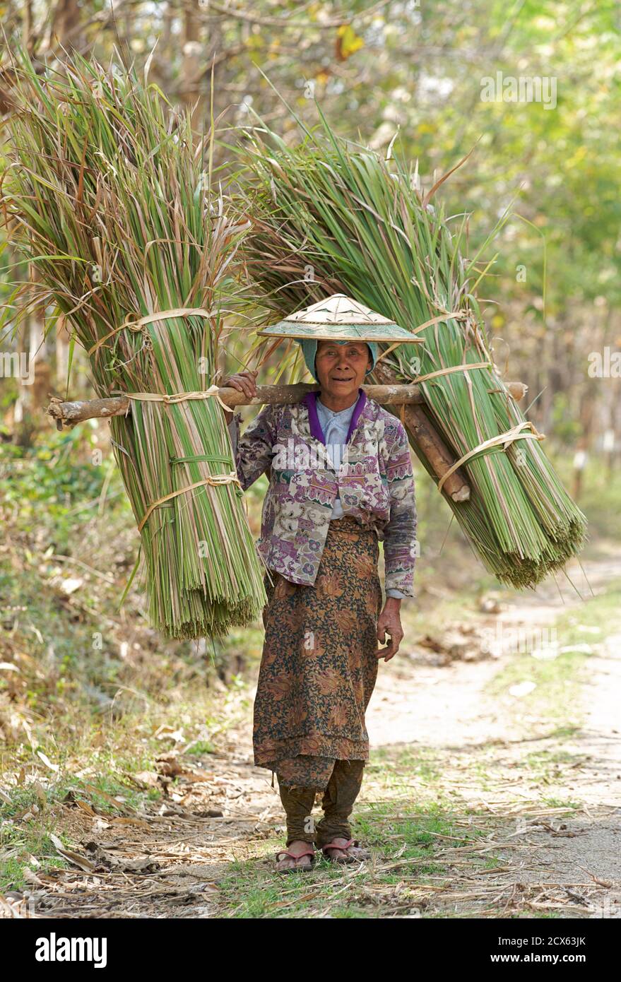 Burma11248 hi-res stock photography and images - Alamy