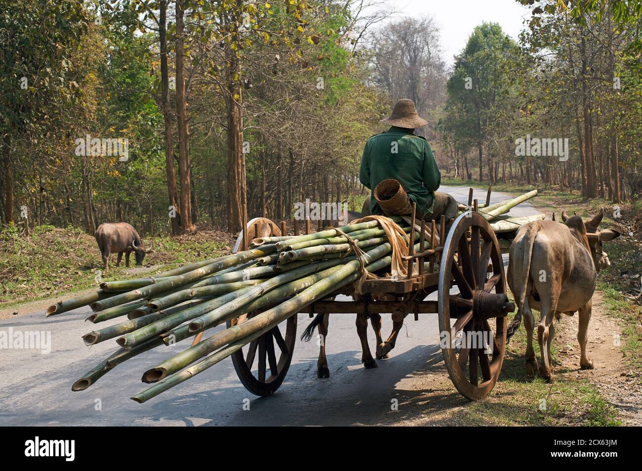 Bamboo cart hi-res stock photography and images - Alamy