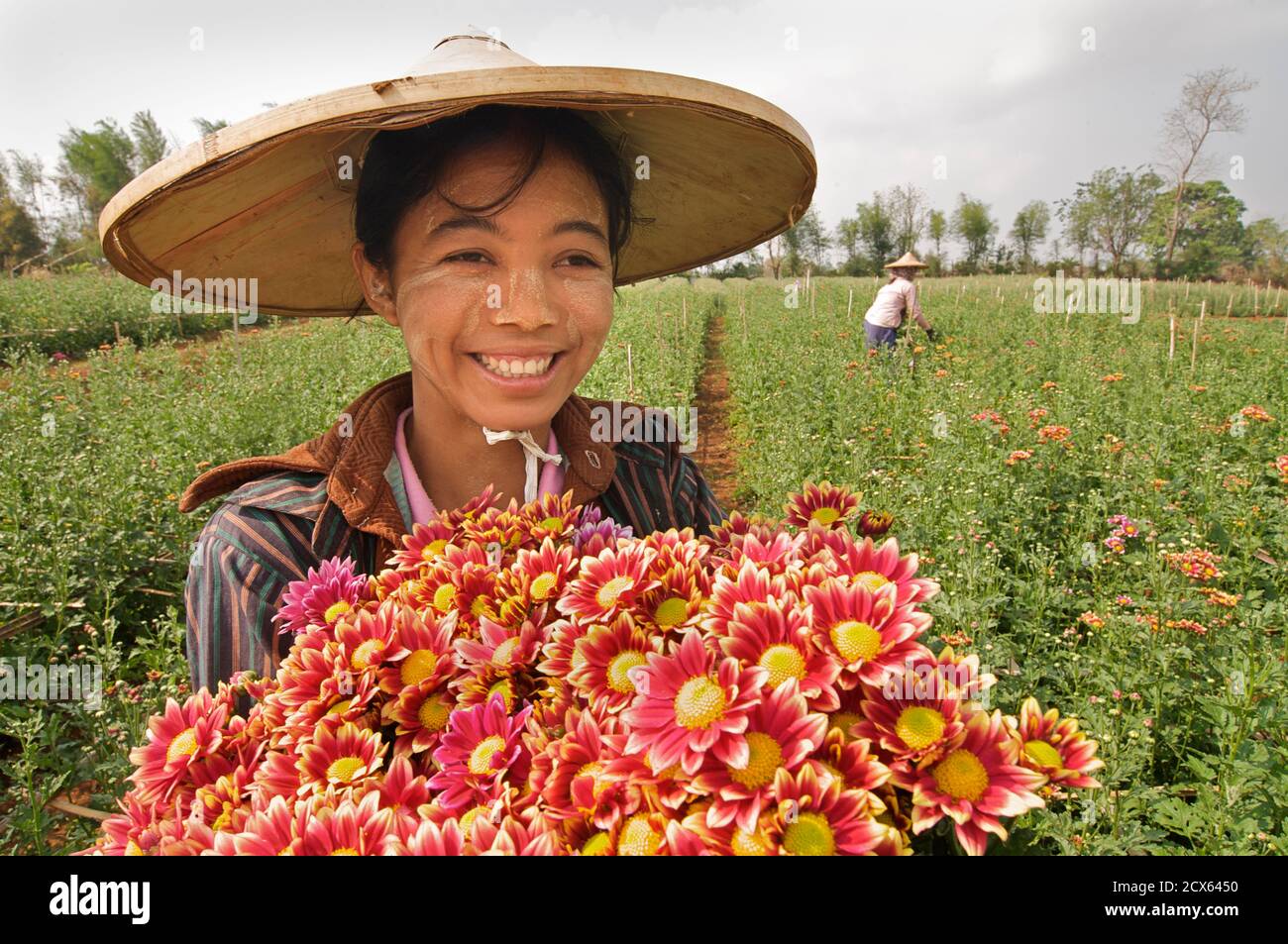 Southeast asian girl hi-res stock photography and images - Alamy