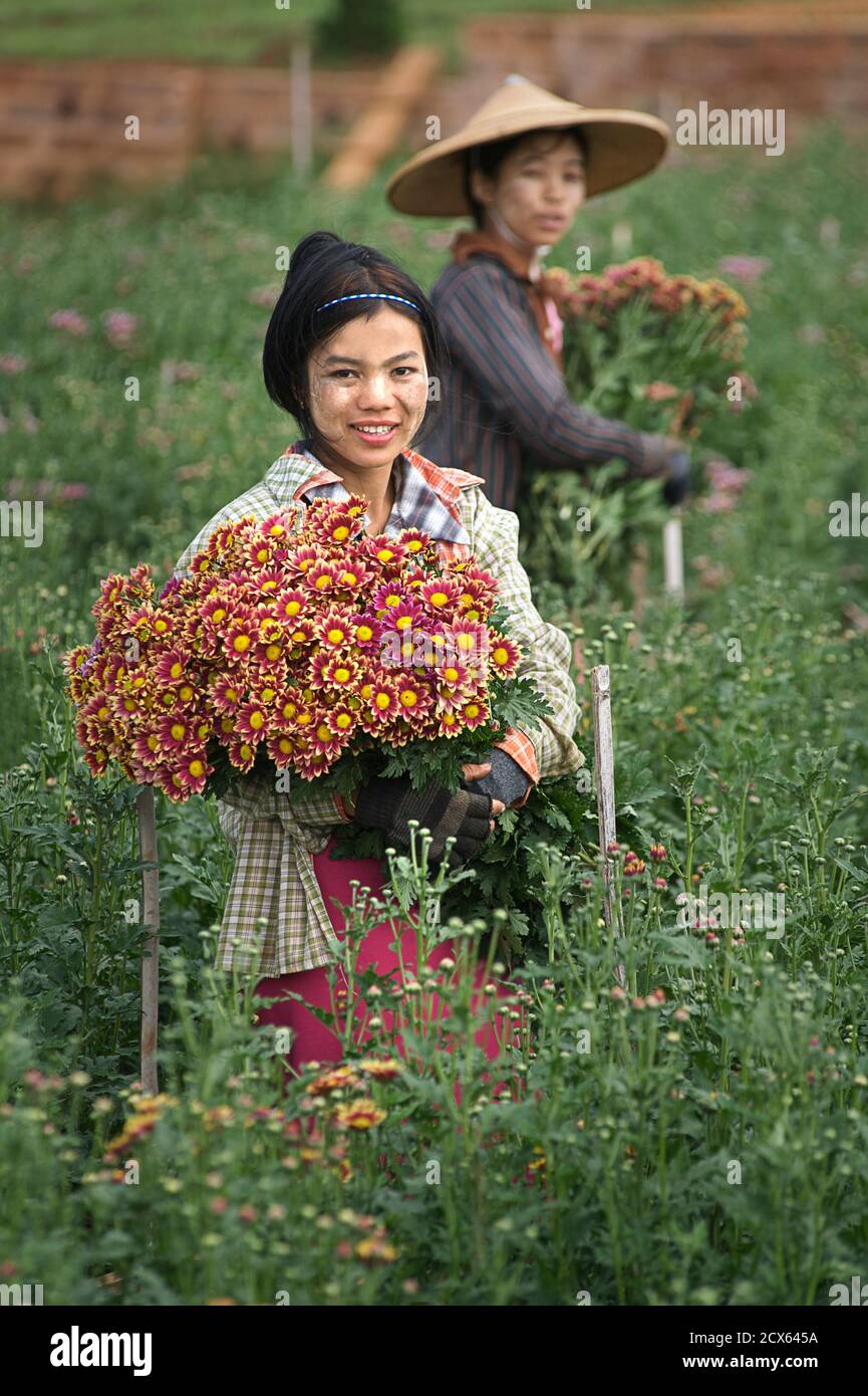 Shan villager hi-res stock photography and images - Alamy