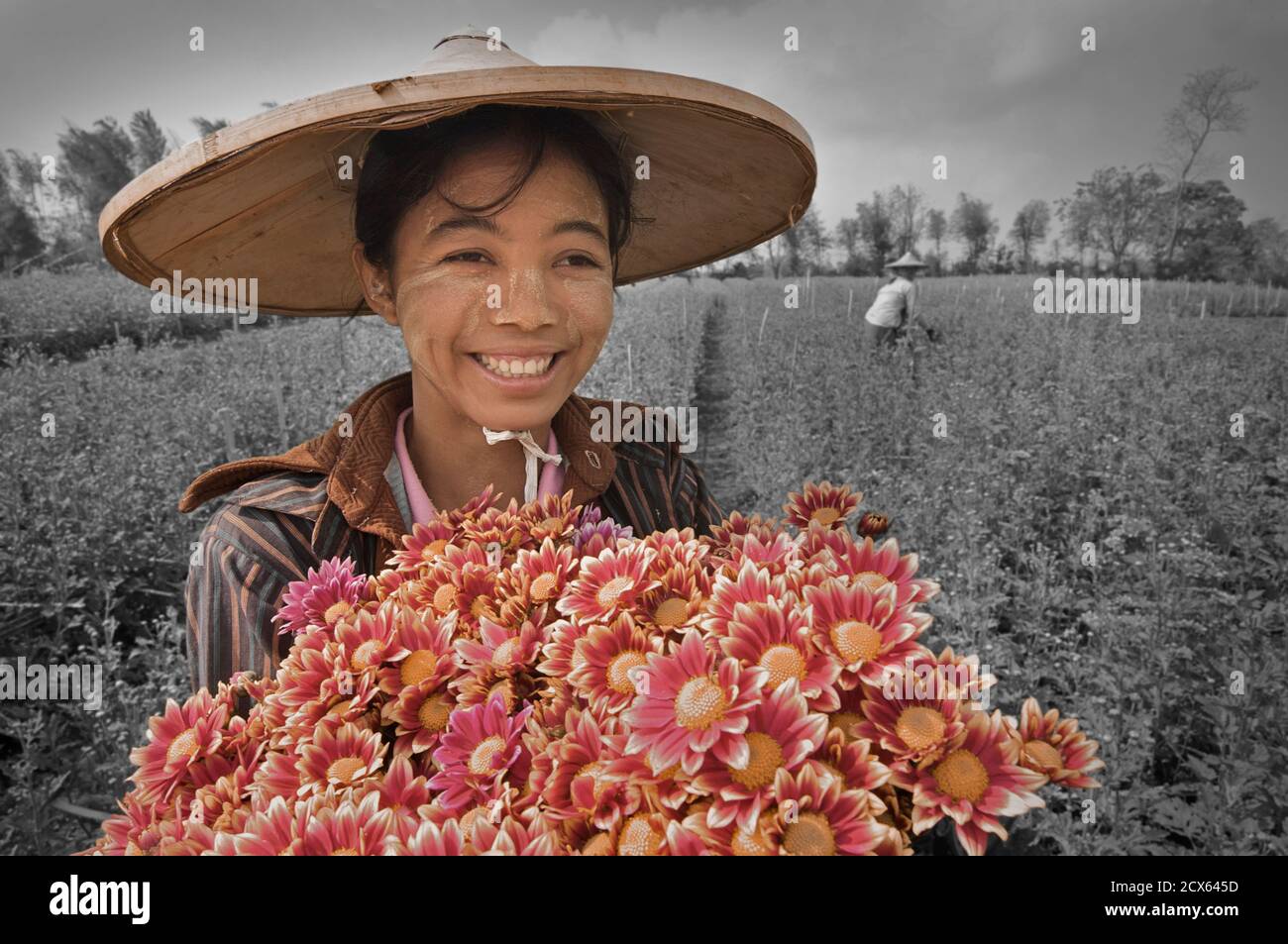 Burmese flower picker, Pyin Oo Lwin. Maymyo, near Mandalay, Burma ...