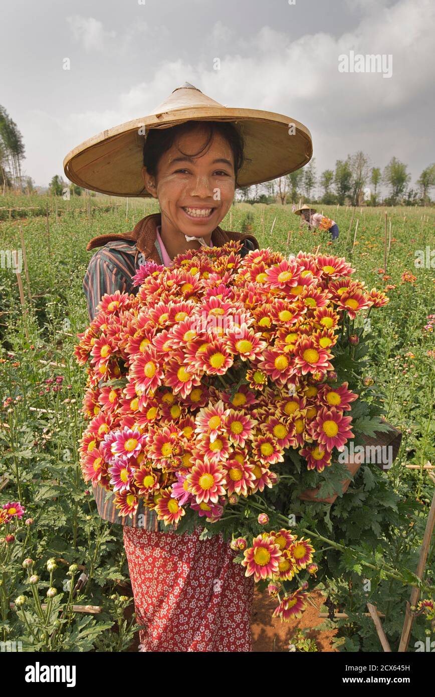 Burma11148 hi-res stock photography and images - Alamy