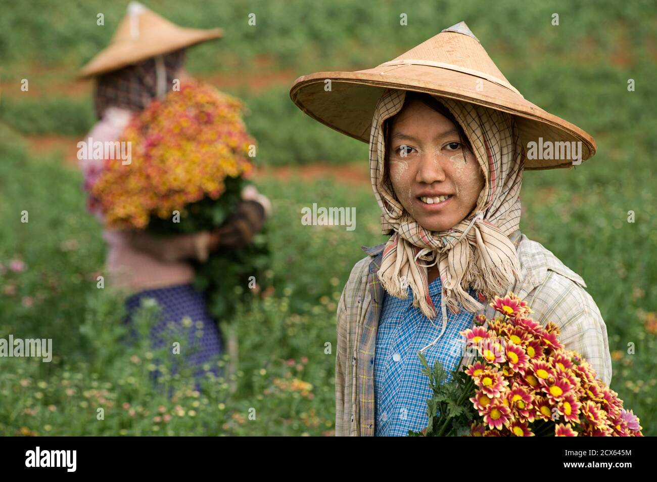 Burma11155 hi-res stock photography and images - Alamy