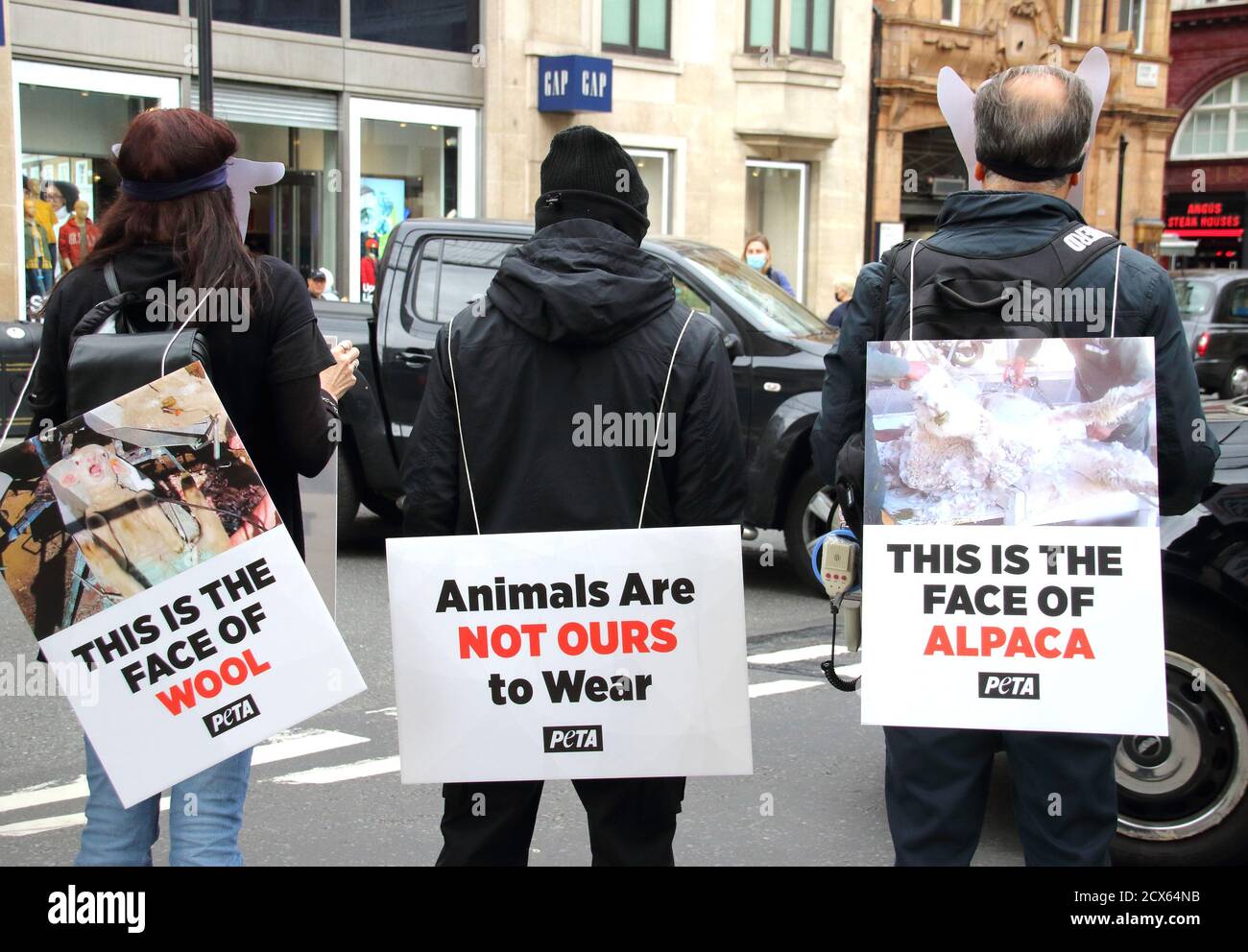 Exploited animals hi-res stock photography and images - Alamy