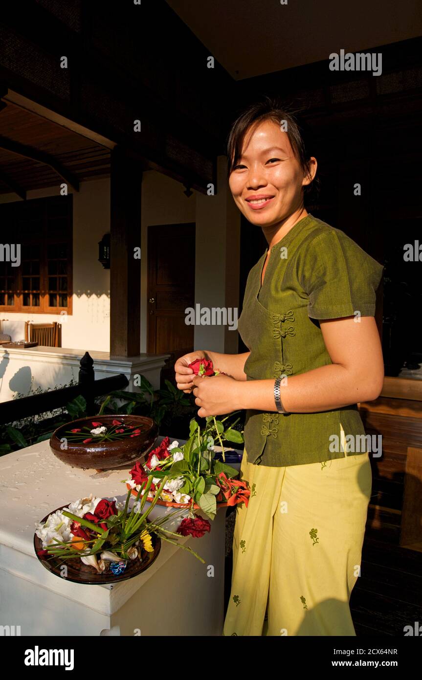 Burmese woman arranging flowers for an offering / display. Mandalay ...