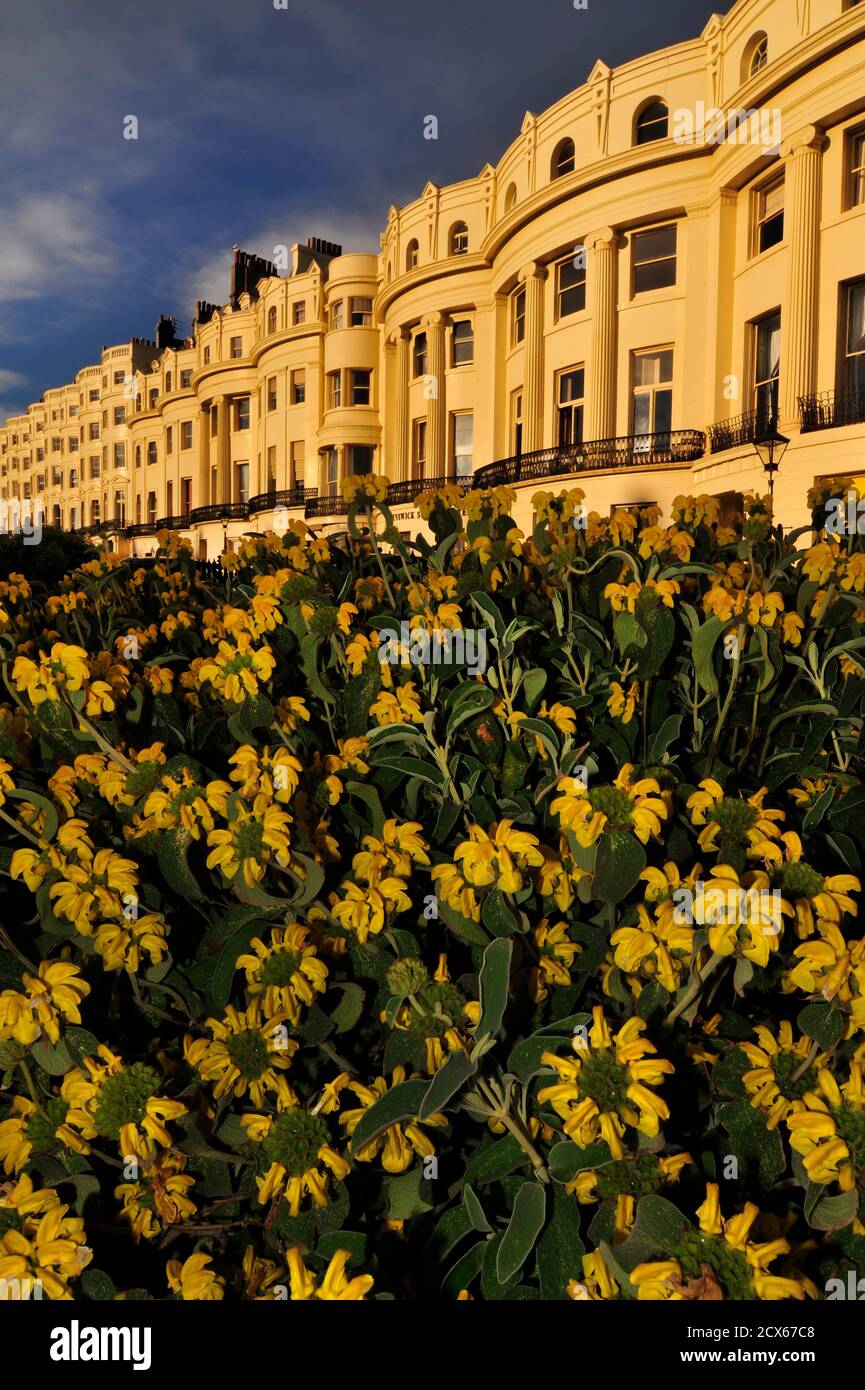 Gardens and Grade I listed Georgian architecture of the eastern side of ...