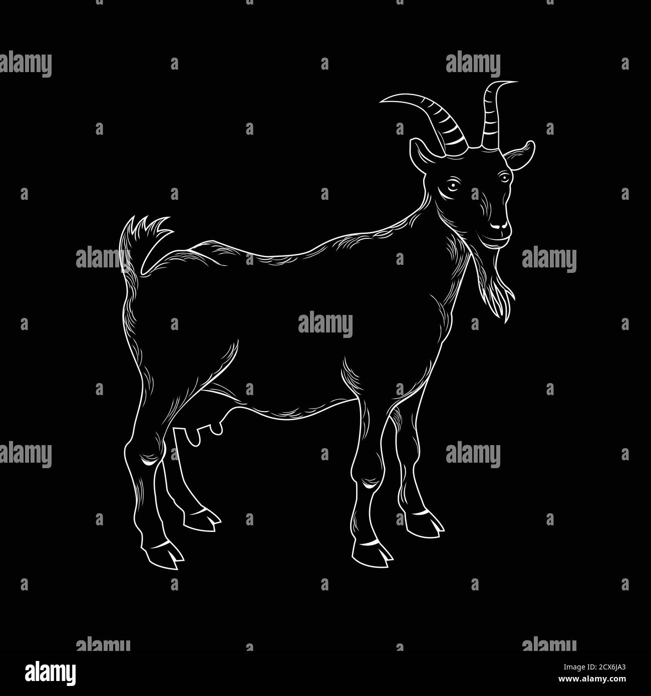 vector illustration of a goat Stock Vector Image & Art - Alamy