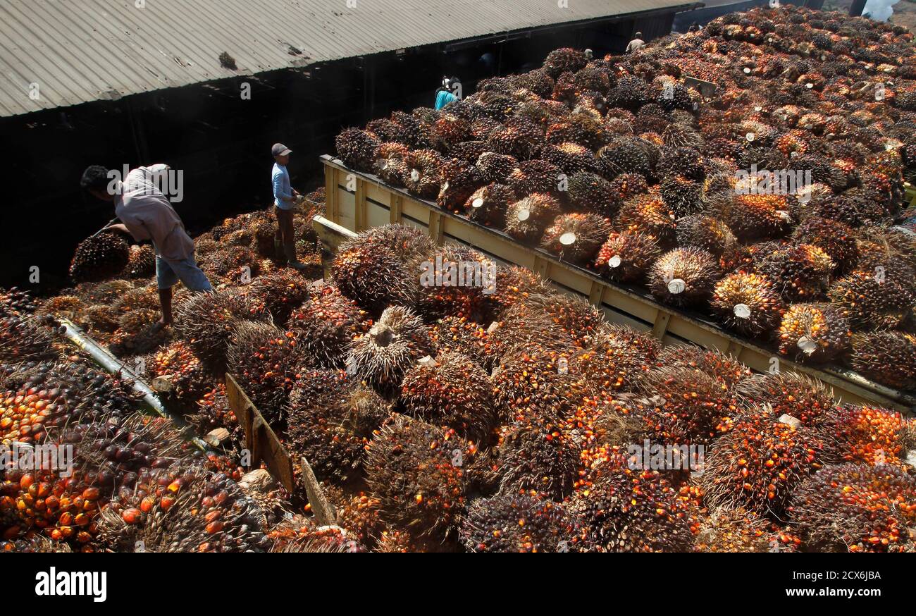 Palm Oil Tanker High Resolution Stock Photography and Images - Alamy