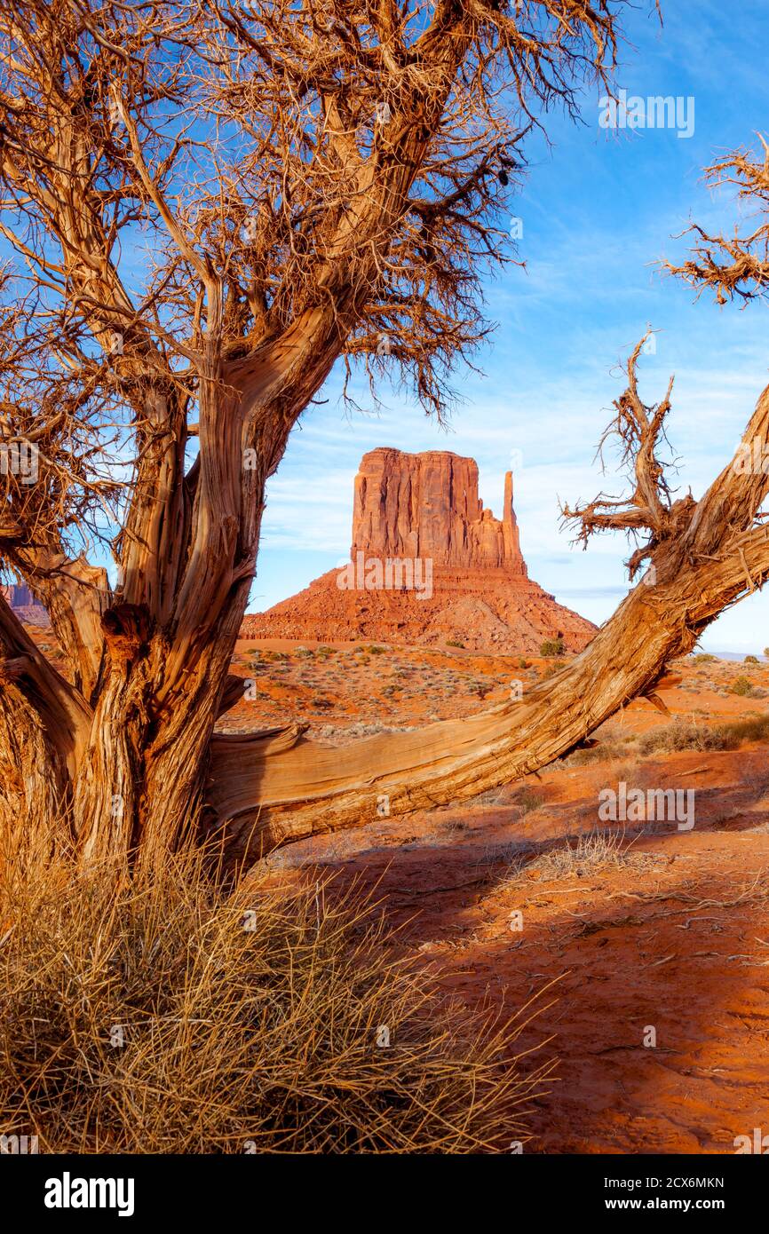 West Mitten, Monument Valley, Navajo Tribal Park, Arizona USA Stock ...
