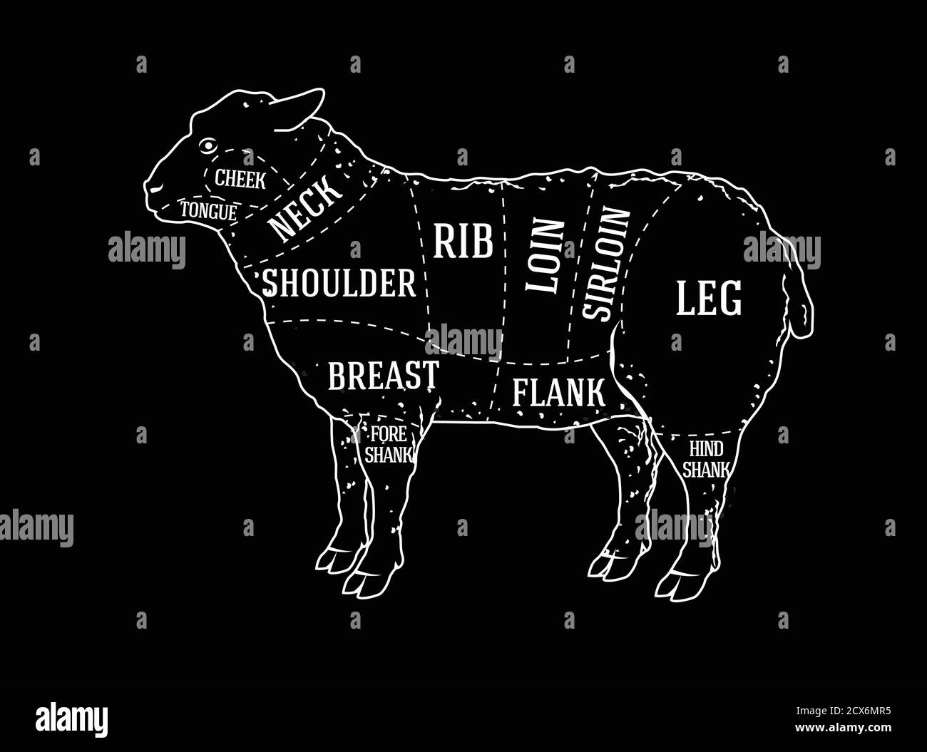 Butcher diagram guide for cutting lamb Stock Vector Image & Art - Alamy