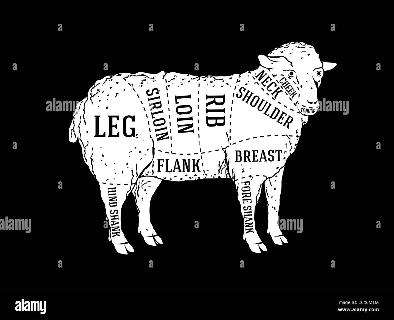 Butcher diagram guide for cutting lamb Stock Vector Image & Art - Alamy