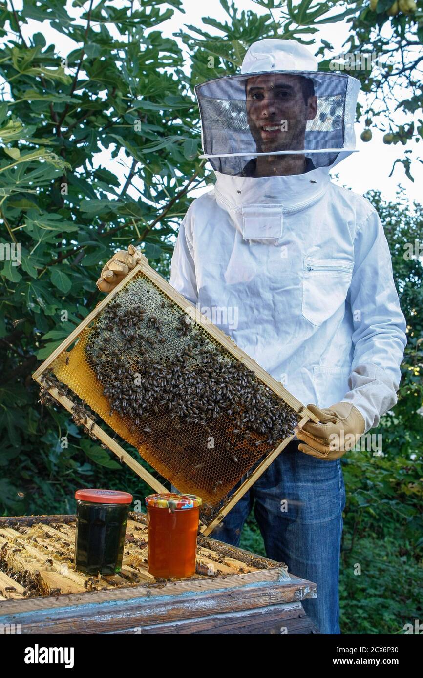 Honeycomb shades hi-res stock photography and images - Alamy