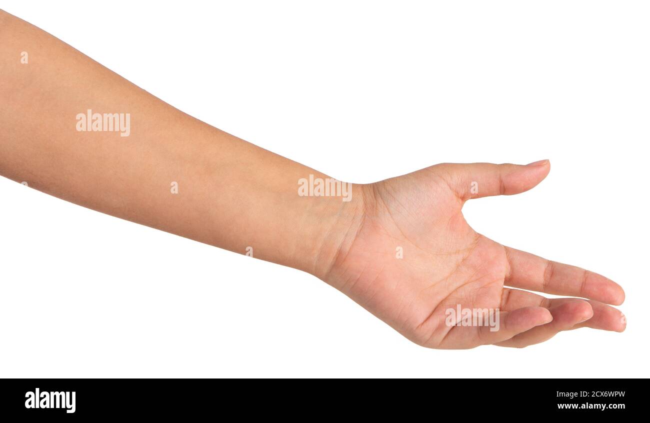 Arm and hand of a young woman cut out on a white background Stock Photo ...