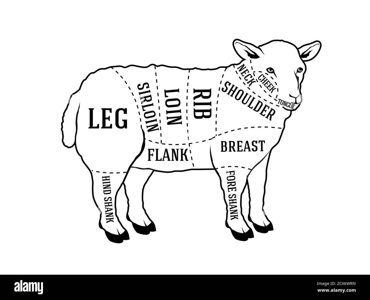 Butcher diagram guide for cutting lamb Stock Vector Image & Art - Alamy