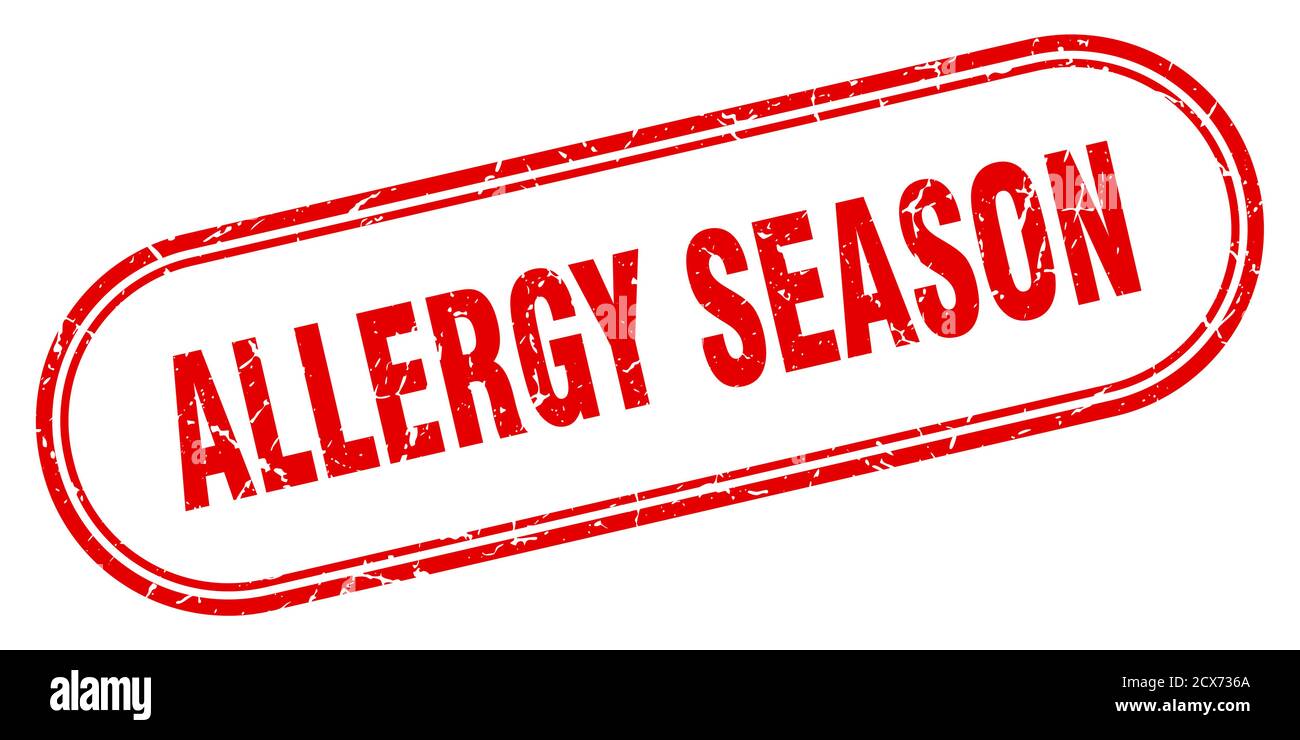 allergy season stamp. rounded grunge sign on white background Stock ...