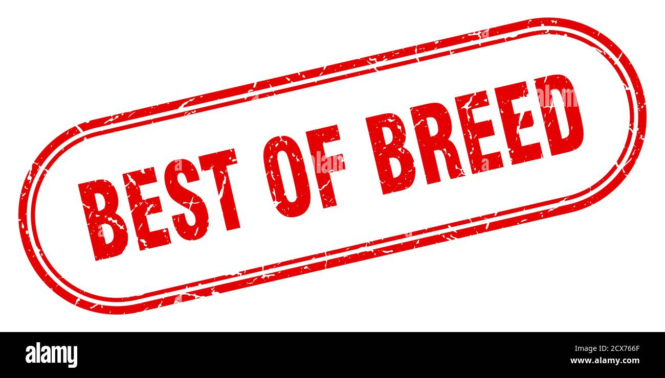 best of breed stamp. rounded grunge sign on white background Stock ...