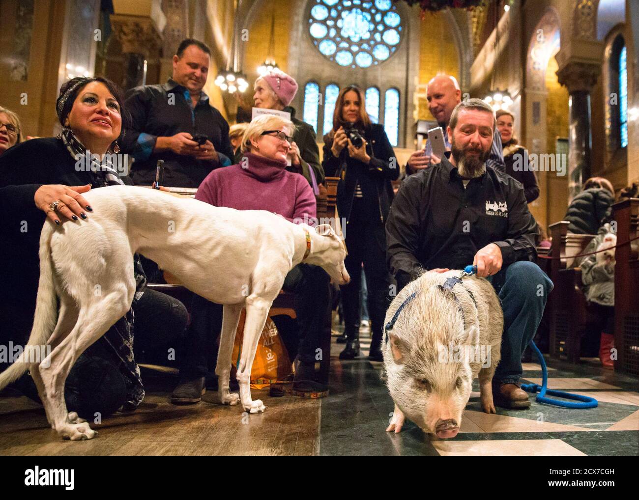 Wildlife Kneel High Resolution Stock Photography and Images - Alamy