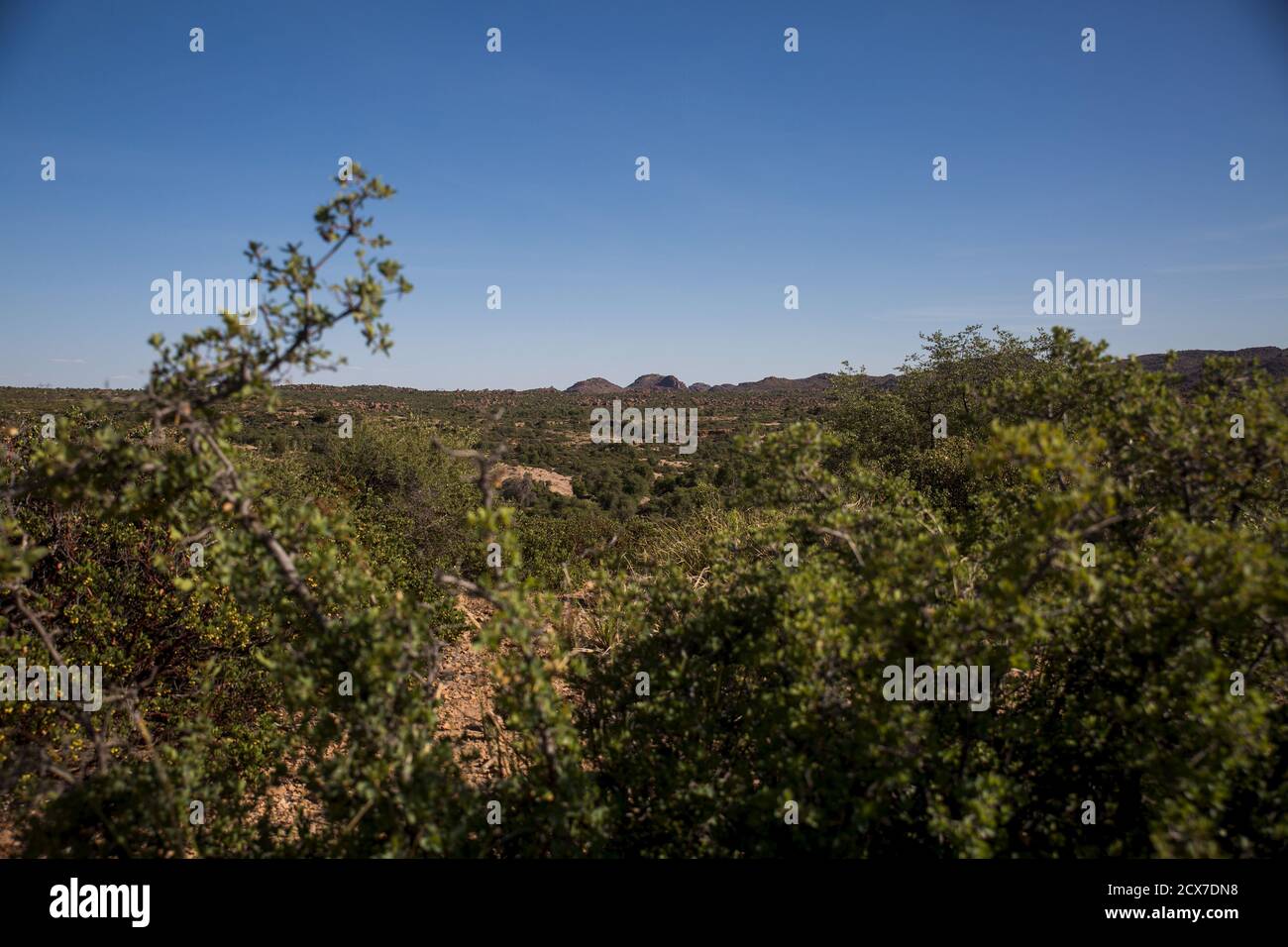 Tonto apache tribe arizona hi-res stock photography and images - Alamy