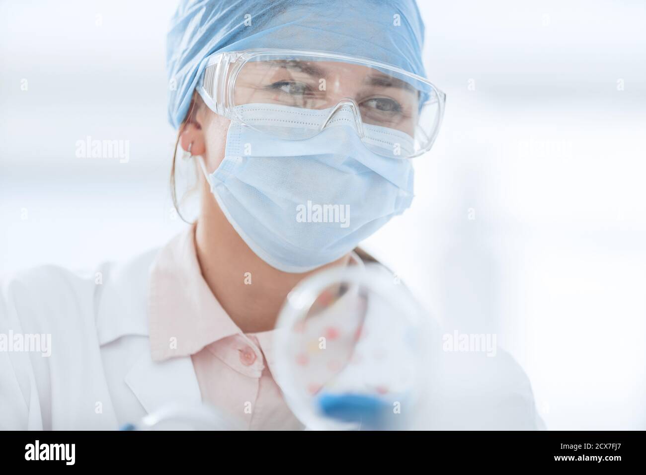 close up. a female microbiologist with a Petri dish Stock Photo - Alamy