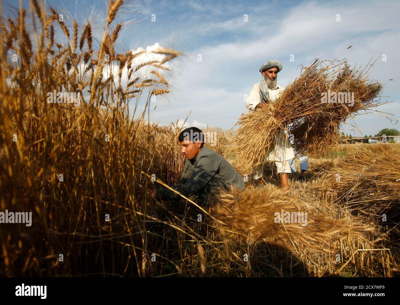 Afghan Farmers High Resolution Stock Photography and Images - Alamy