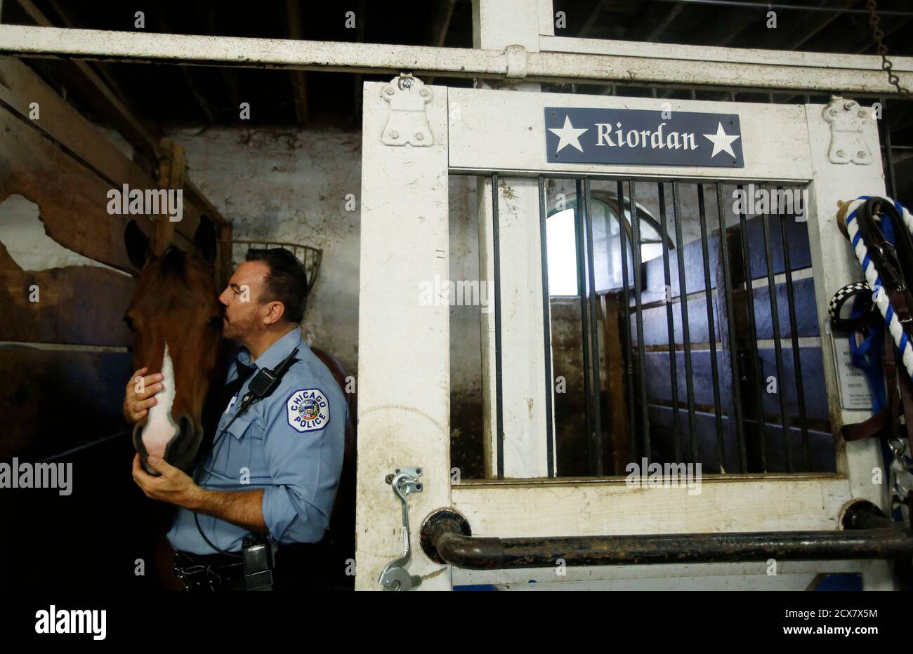 Chicago police horse hi-res stock photography and images - Alamy